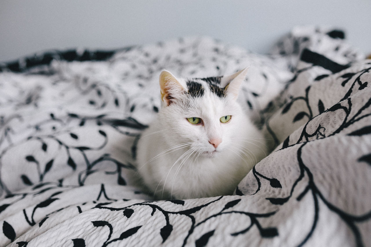 Carousel - Tabler - Premium and Open Source dashboard template with ...